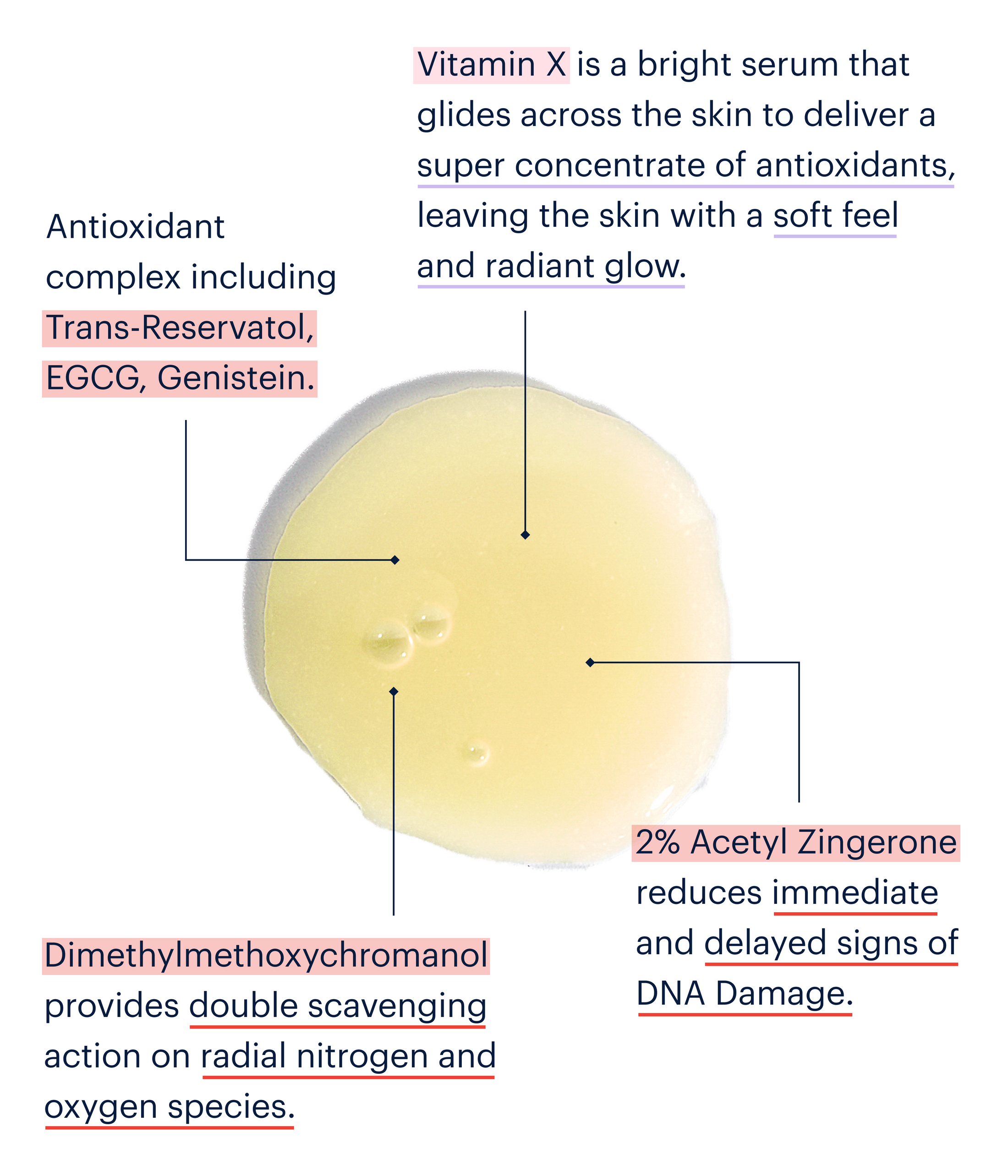 Antioxidant Complex Serum - Vitamin X | Regimen Lab Skincare