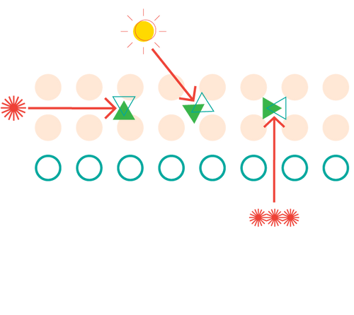 Hyperpigmentation Treatment - Level Serum | Regimen Lab Skincare