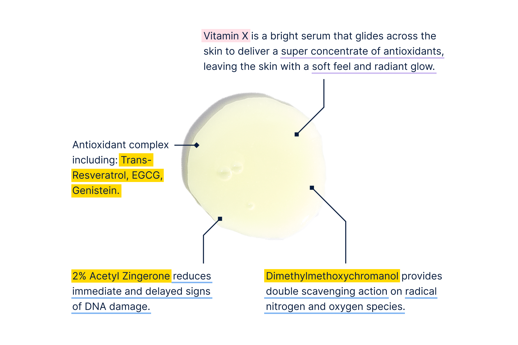 Antioxidant Complex Serum - Vitamin X | Regimen Lab Skincare